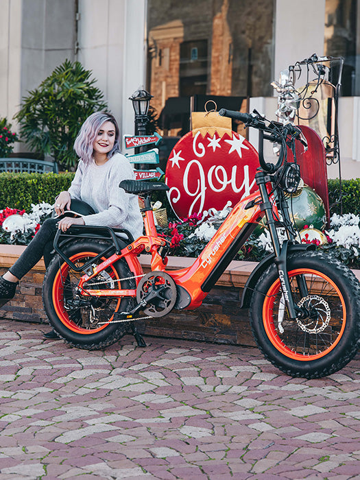 Cyrusher Ranger, All-Terrain Elektrofahrrad – Cyrusher Germany
